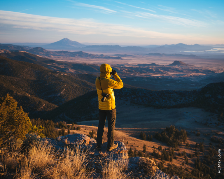 2025 Fall Migration – HawkWatch International