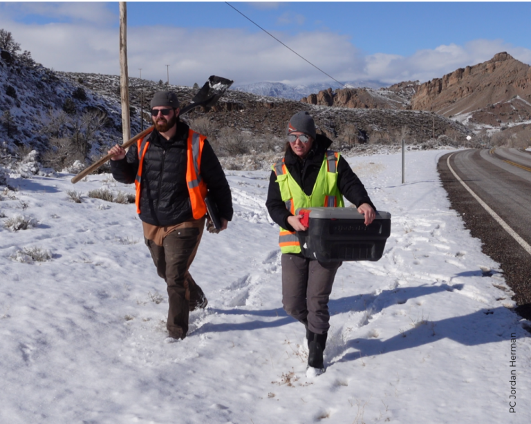 Eagle Vehicle Strike – HawkWatch International