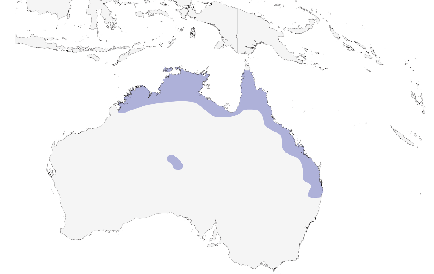 In Pursuit of Australia’s Red Goshawk – HawkWatch International