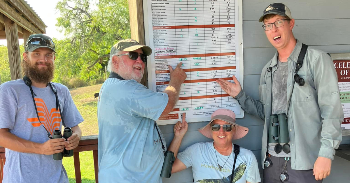 HawkWatch International – Conserving raptors and our shared environment