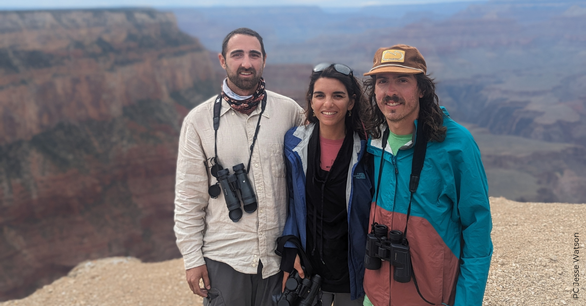 HawkWatch International – Conserving raptors and our shared environment