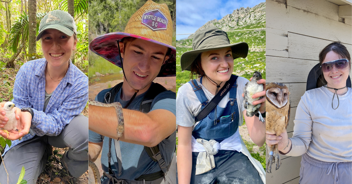 HawkWatch International – Conserving raptors and our shared environment