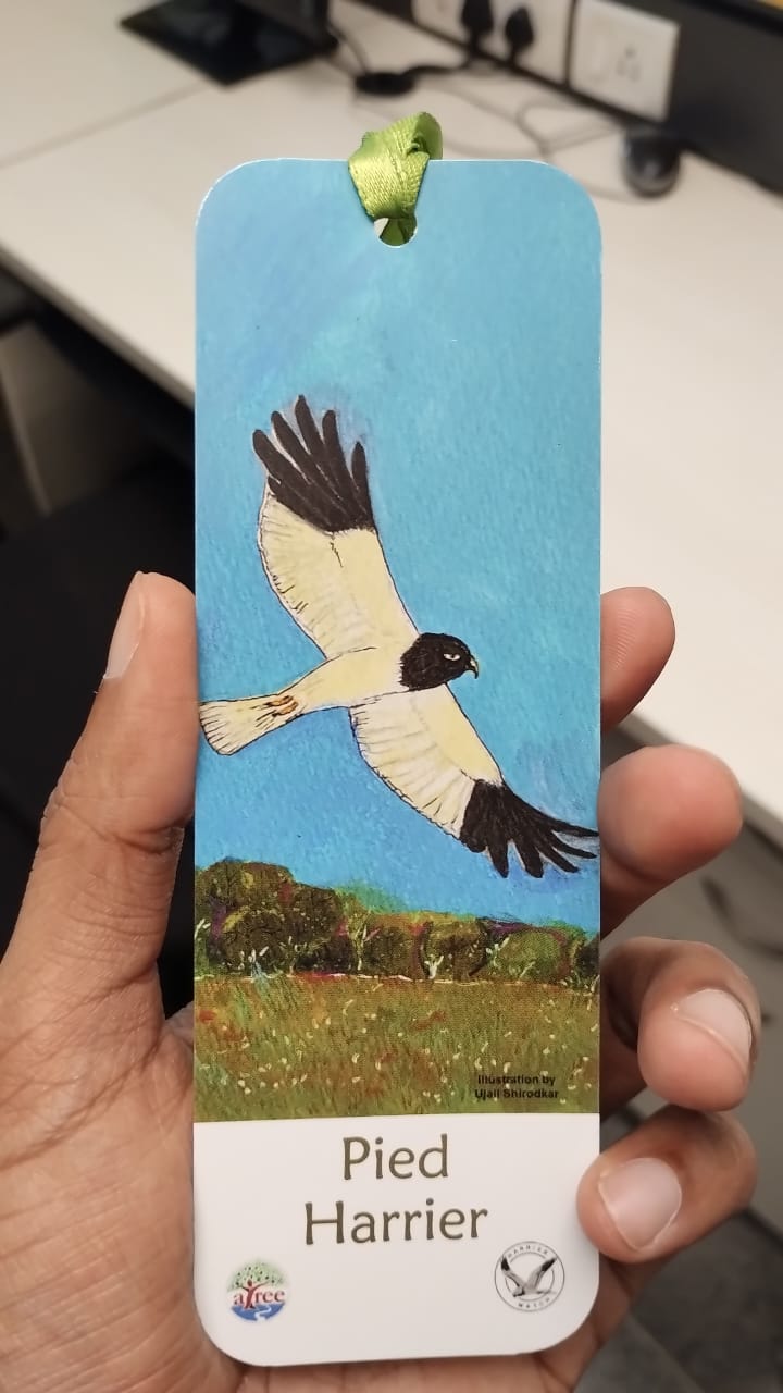 Six Months of Success: Checking in on 2023’s Global Raptor Grant ...