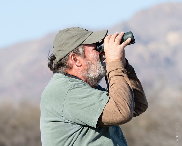 Tubac HawkWatch – HawkWatch International