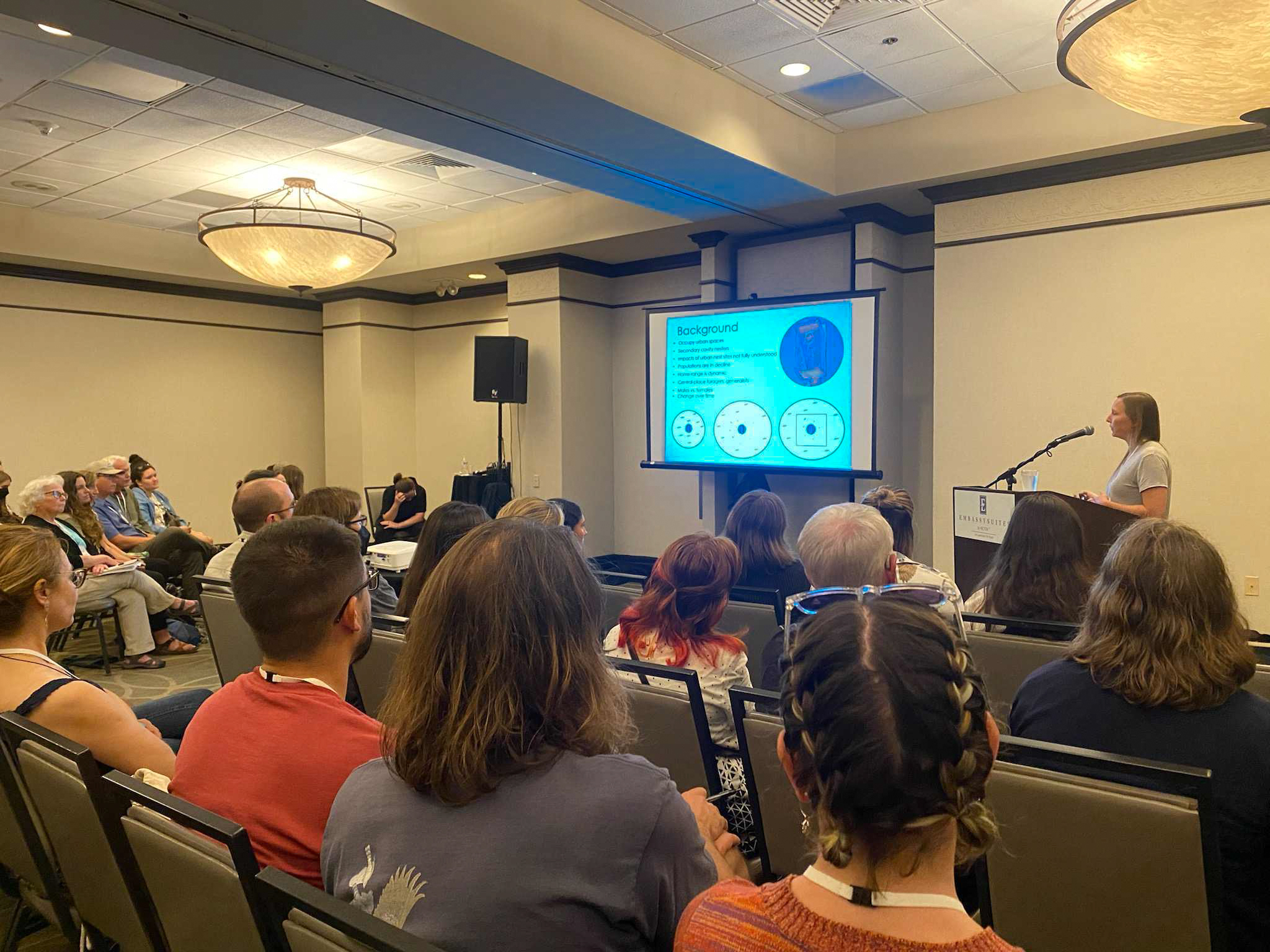 HWI Heads to the Raptor Research Foundation Conference – HawkWatch ...