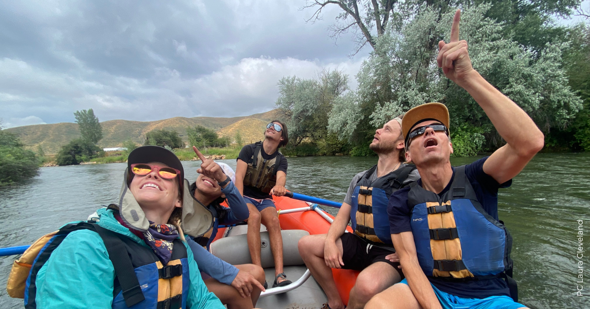 HawkWatching Lightning Round with HWI Staff – HawkWatch International