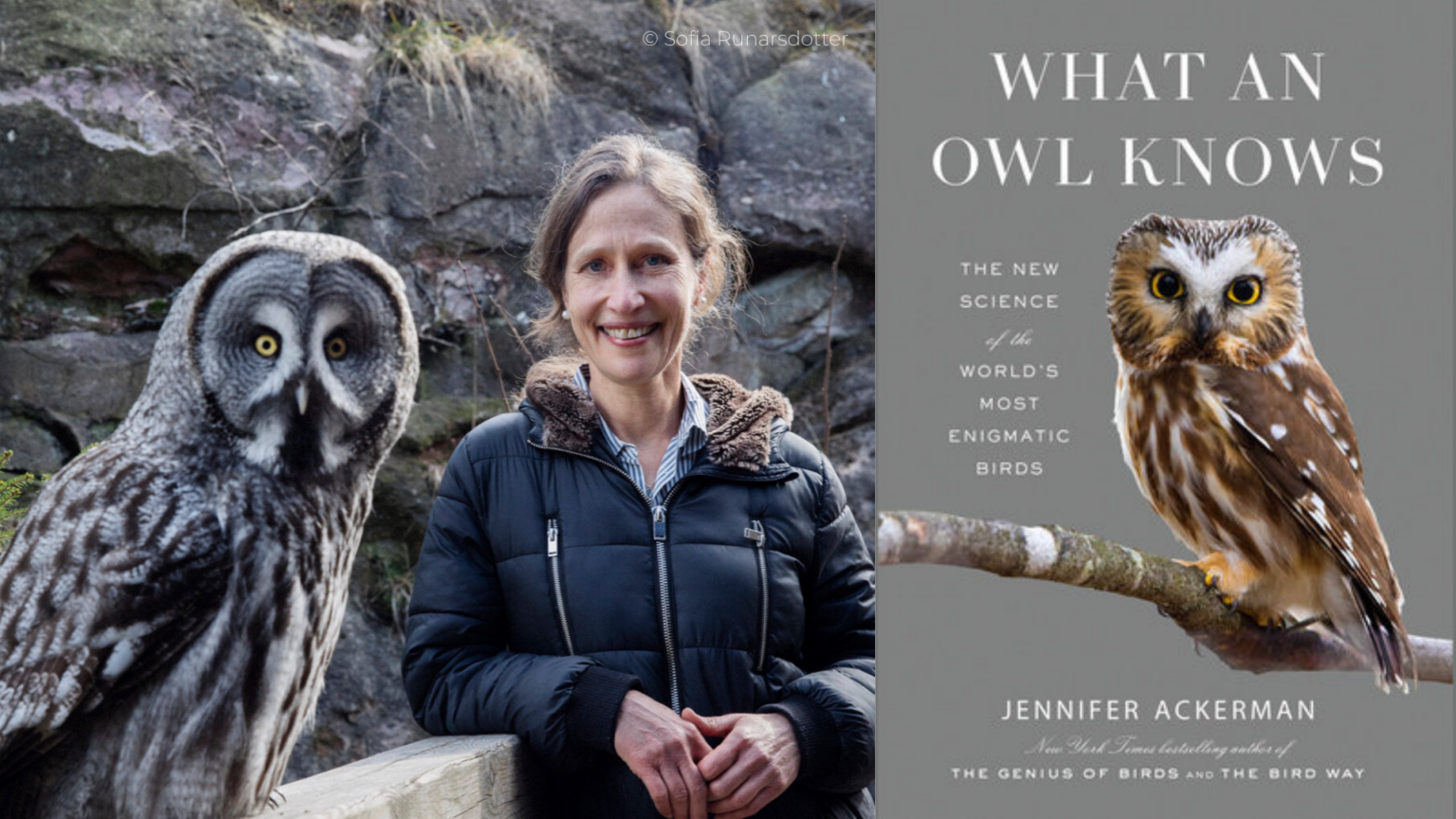 What an Owl Knows: Lecture and Q&A with Jennifer Ackerman – HawkWatch ...