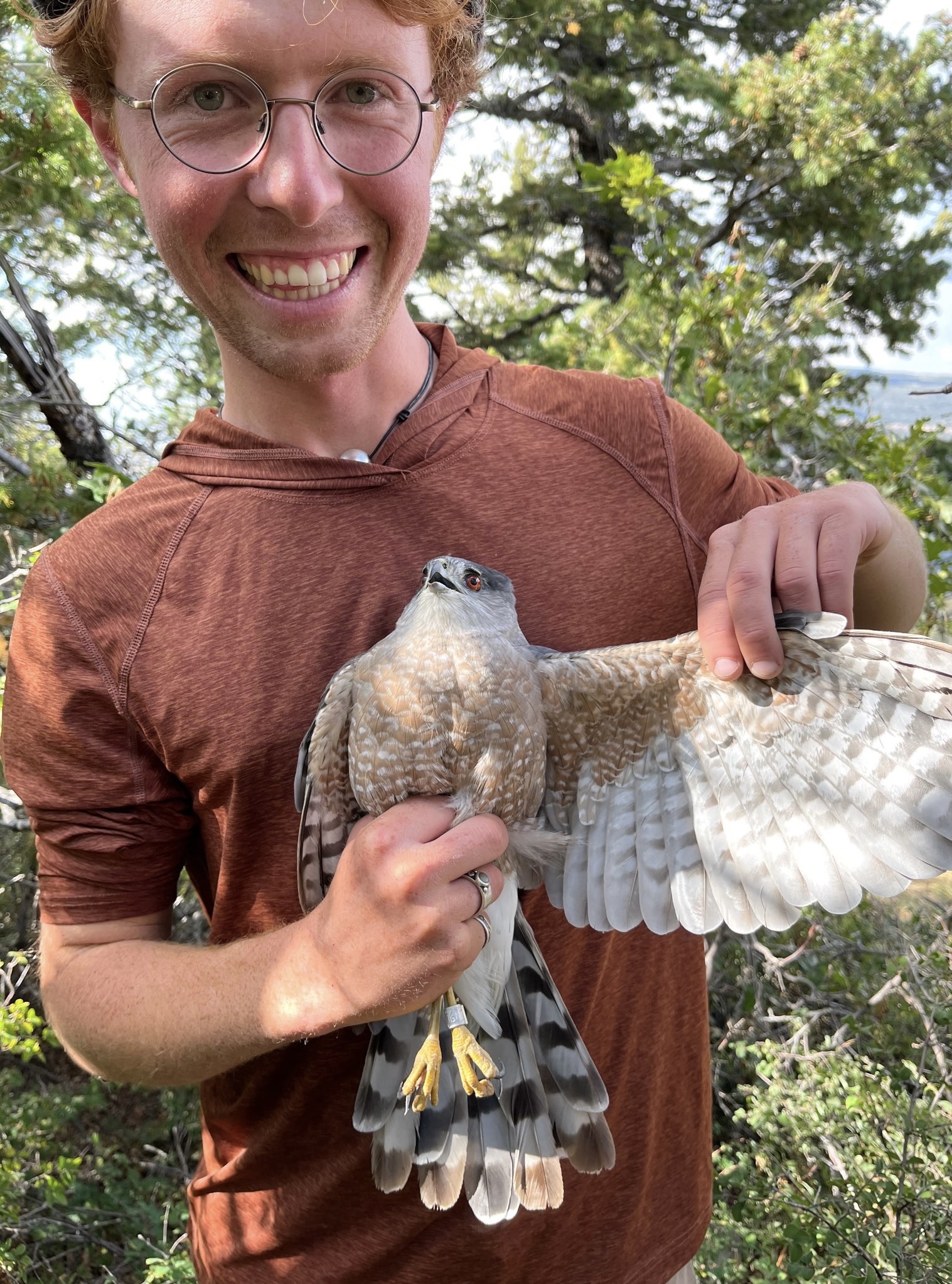 Meet the 2024 Crew: Tubac HawkWatch – HawkWatch International