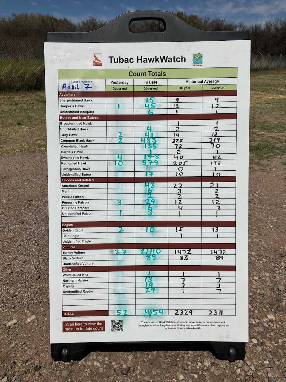 2024 Spring Migration Update – HawkWatch International