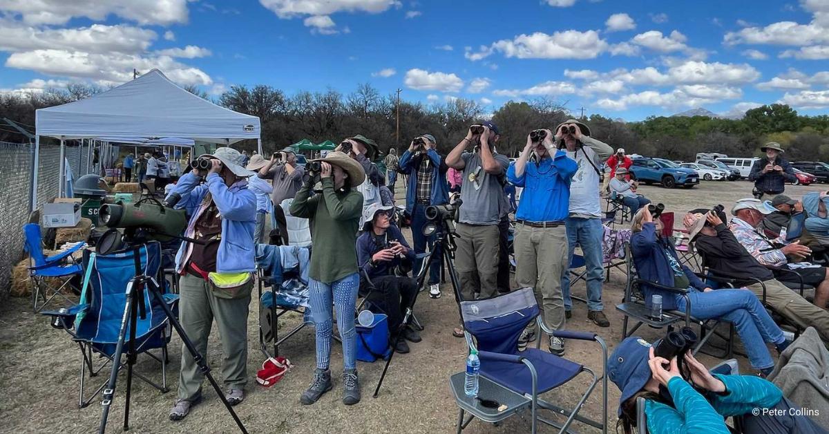 Migration Reports – HawkWatch International