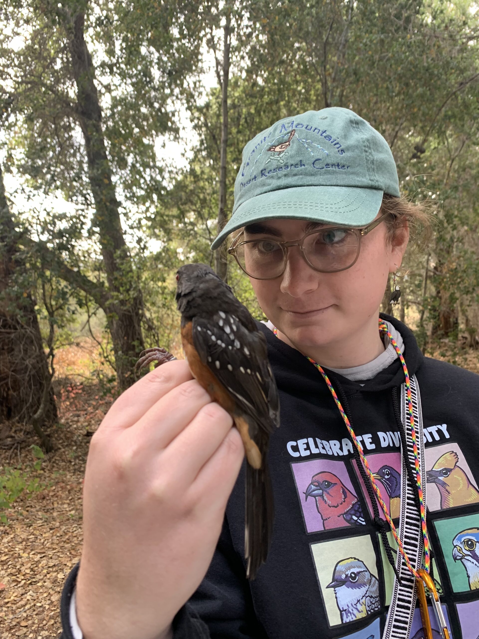 Meet the 2024 Raptor Conservation Interns – HawkWatch International