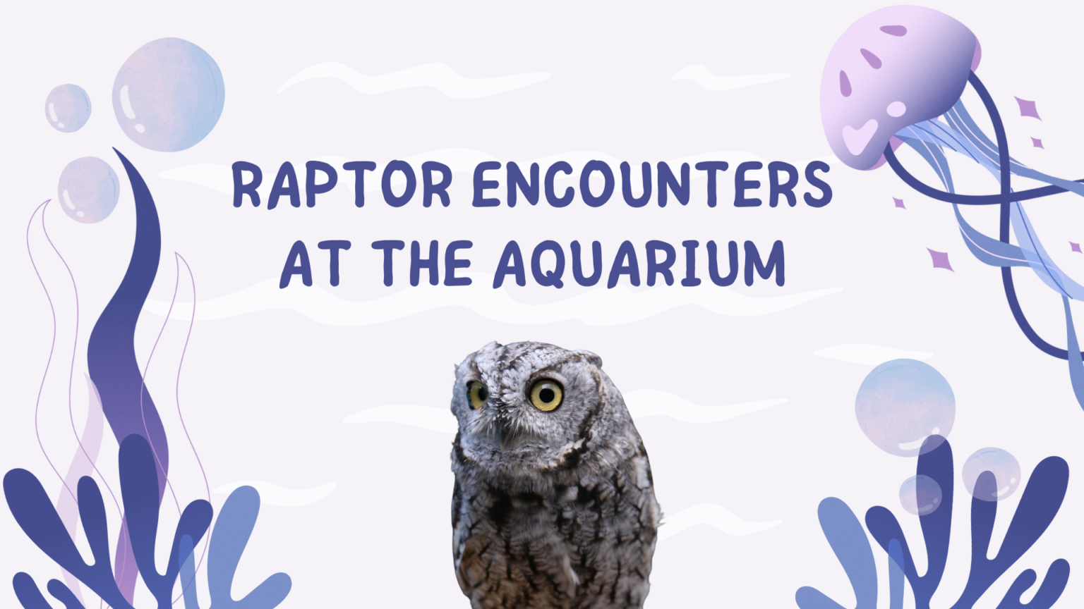 Loveland Living Planet Raptor Encounters Hawkwatch International