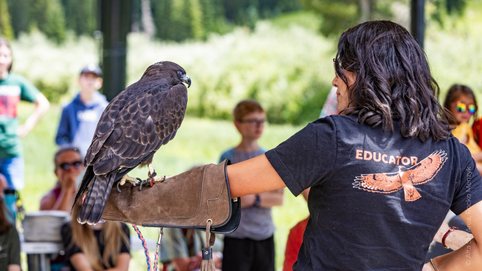 Raptor Encounter – Bear River State Park – HawkWatch International
