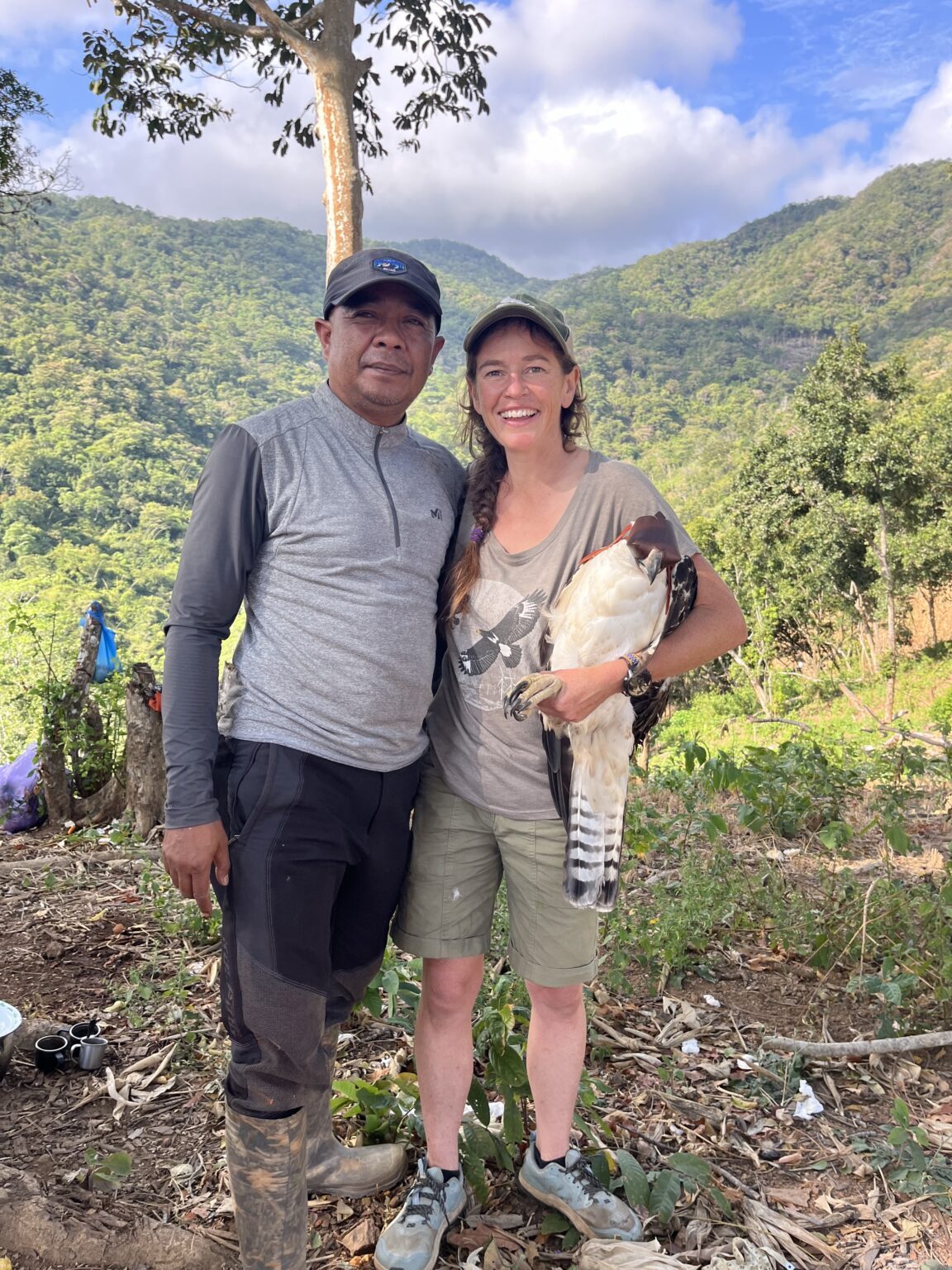 Putting Out the First Transmitter on a Flores Hawk-eagle – HawkWatch ...