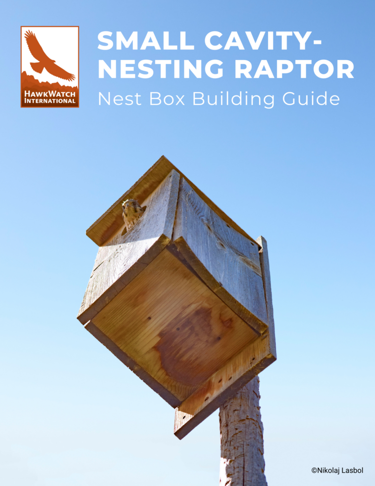 Nest Box Building Guide – HawkWatch International