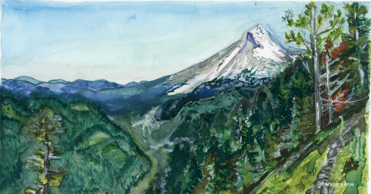 HawkWatch International – Conserving raptors and our shared environment