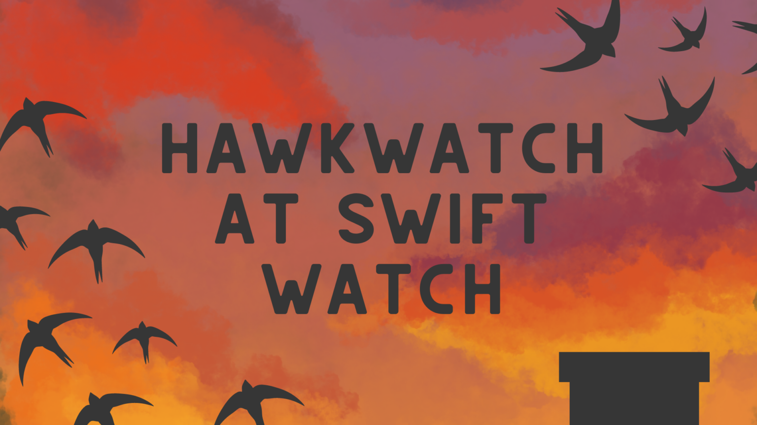 HawkWatch at Swift Watch! – HawkWatch International