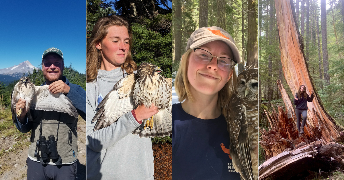 HawkWatch International – Conserving raptors and our shared environment