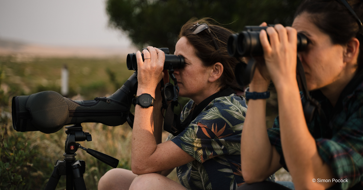 How to Select the Right Binoculars for Birdwatching – HawkWatch ...