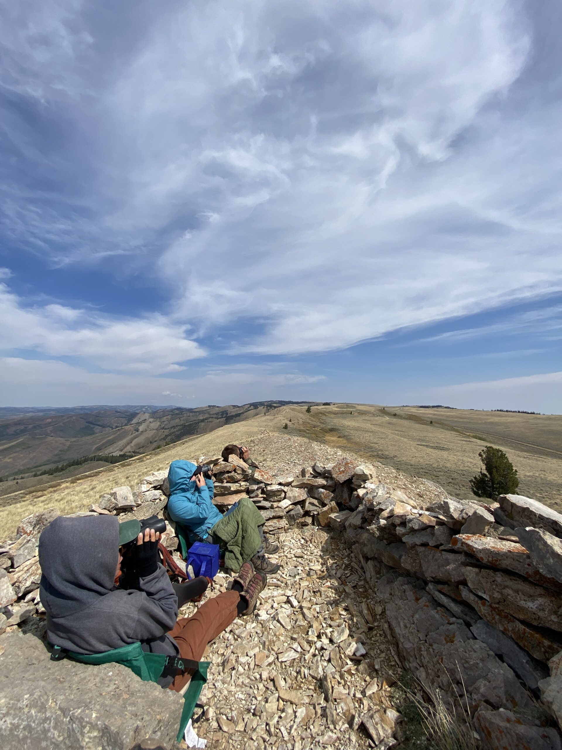 2024 Migration Update: Bonney Butte, Commissary Ridge, and Goshute ...