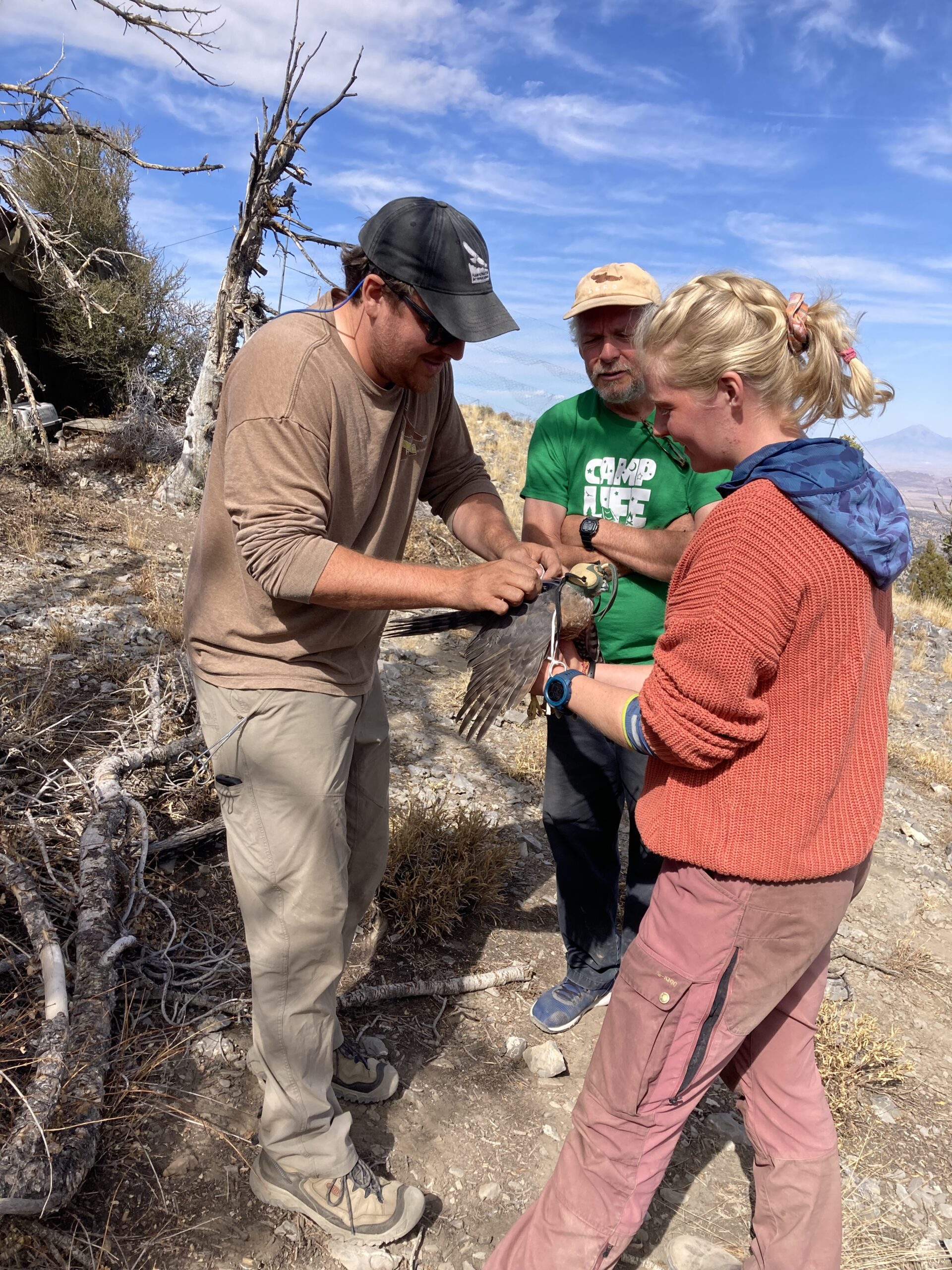 2024 Migration Update: Bonney Butte, Commissary Ridge, and Goshute ...