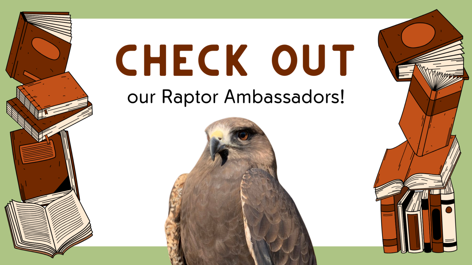 Raptors at the Holladay Branch Library – HawkWatch International
