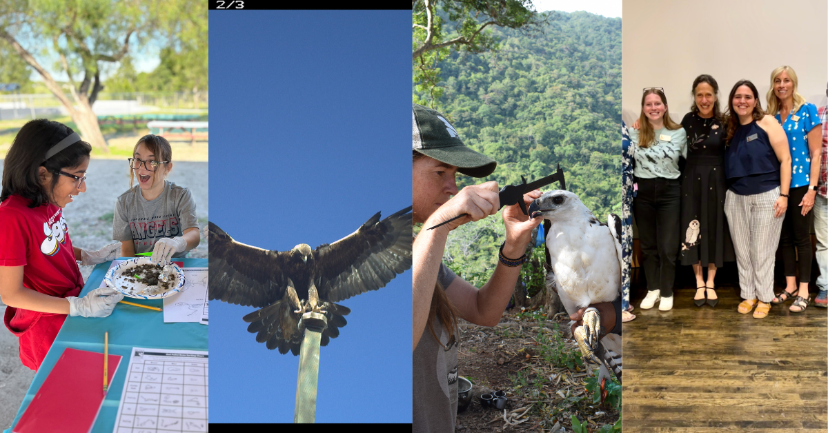 HawkWatch International – Conserving raptors and our shared environment