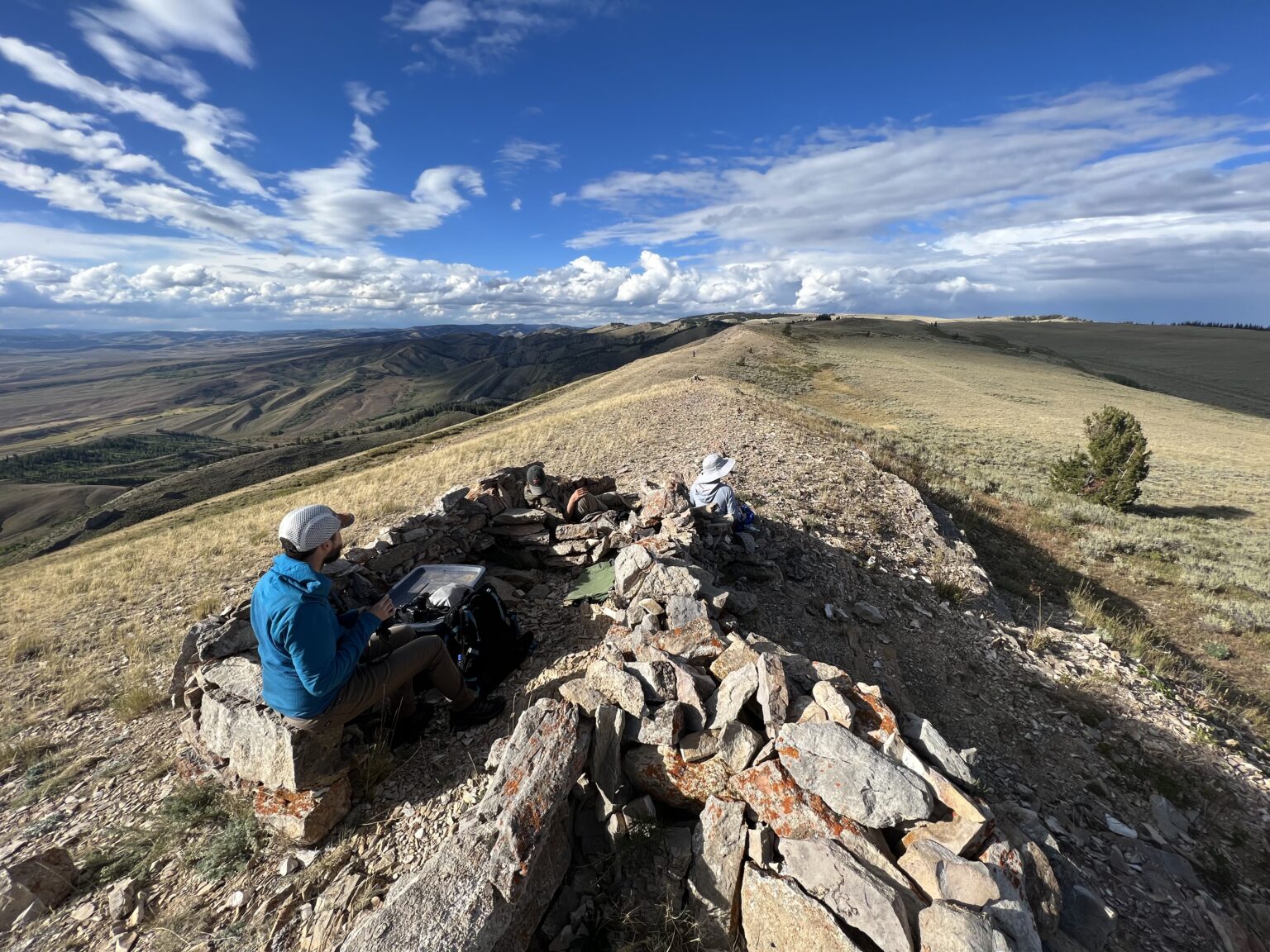 Why Are Female Raptors Bigger Than Males? Understanding Reverse Sexual ...