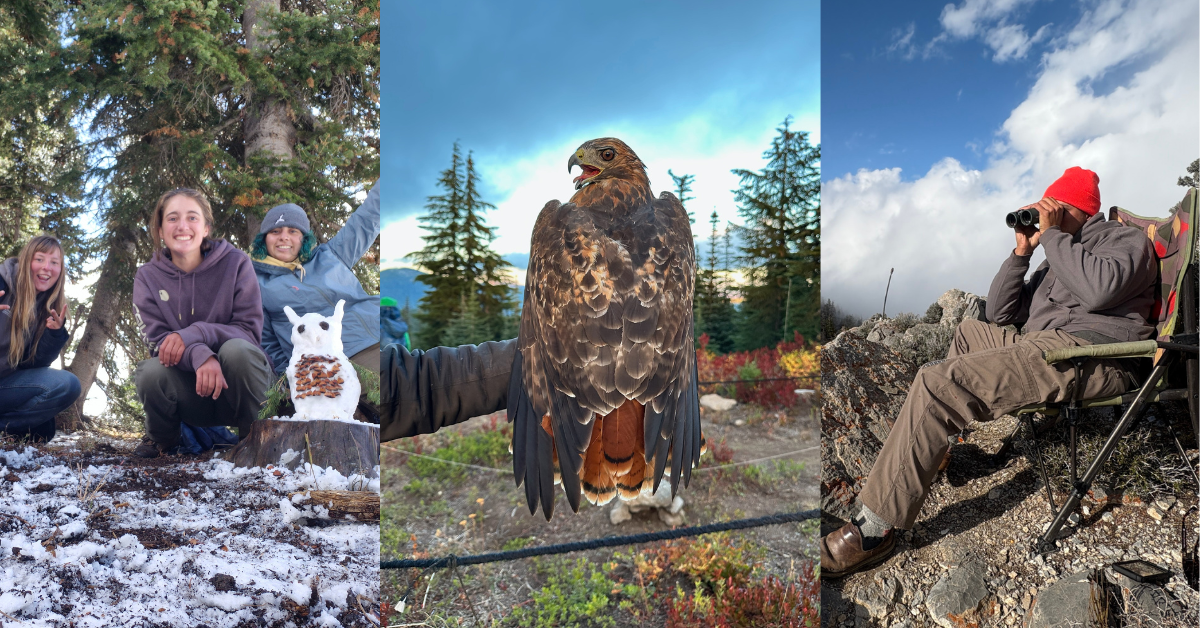 HawkWatch International – Conserving raptors and our shared environment