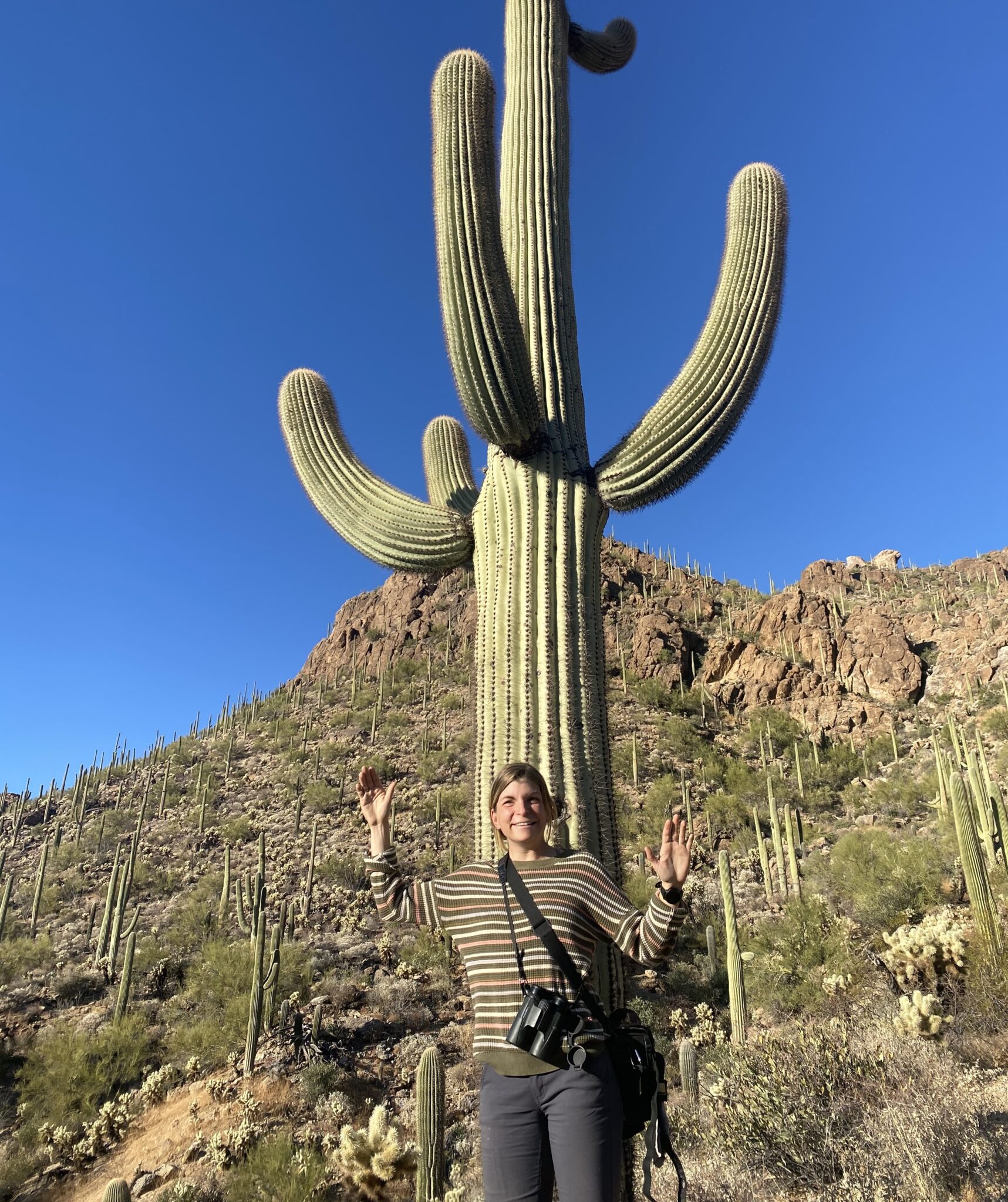 Meet the 2026 Crew: The Tubac HawkWatch – HawkWatch International